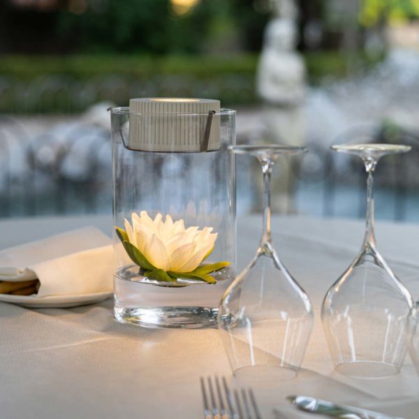 Toque Glass - Toque Mood